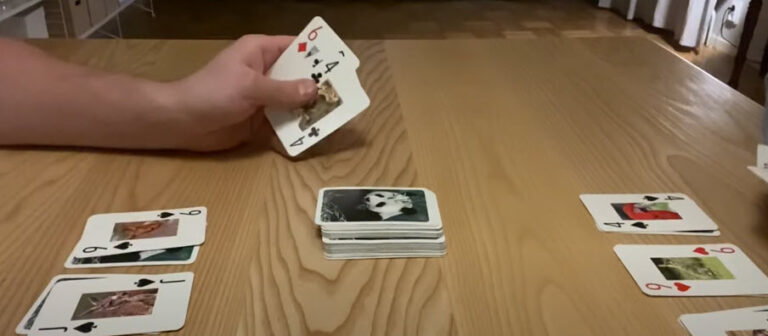 Spela Skitgubbe omedelbart- SpelaKortspel.se